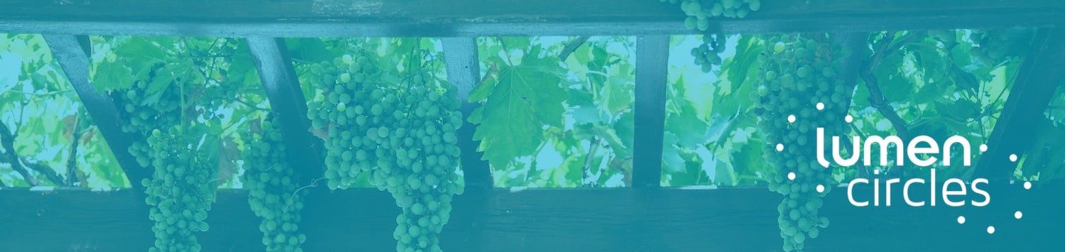 Learn More: Lumen Circles